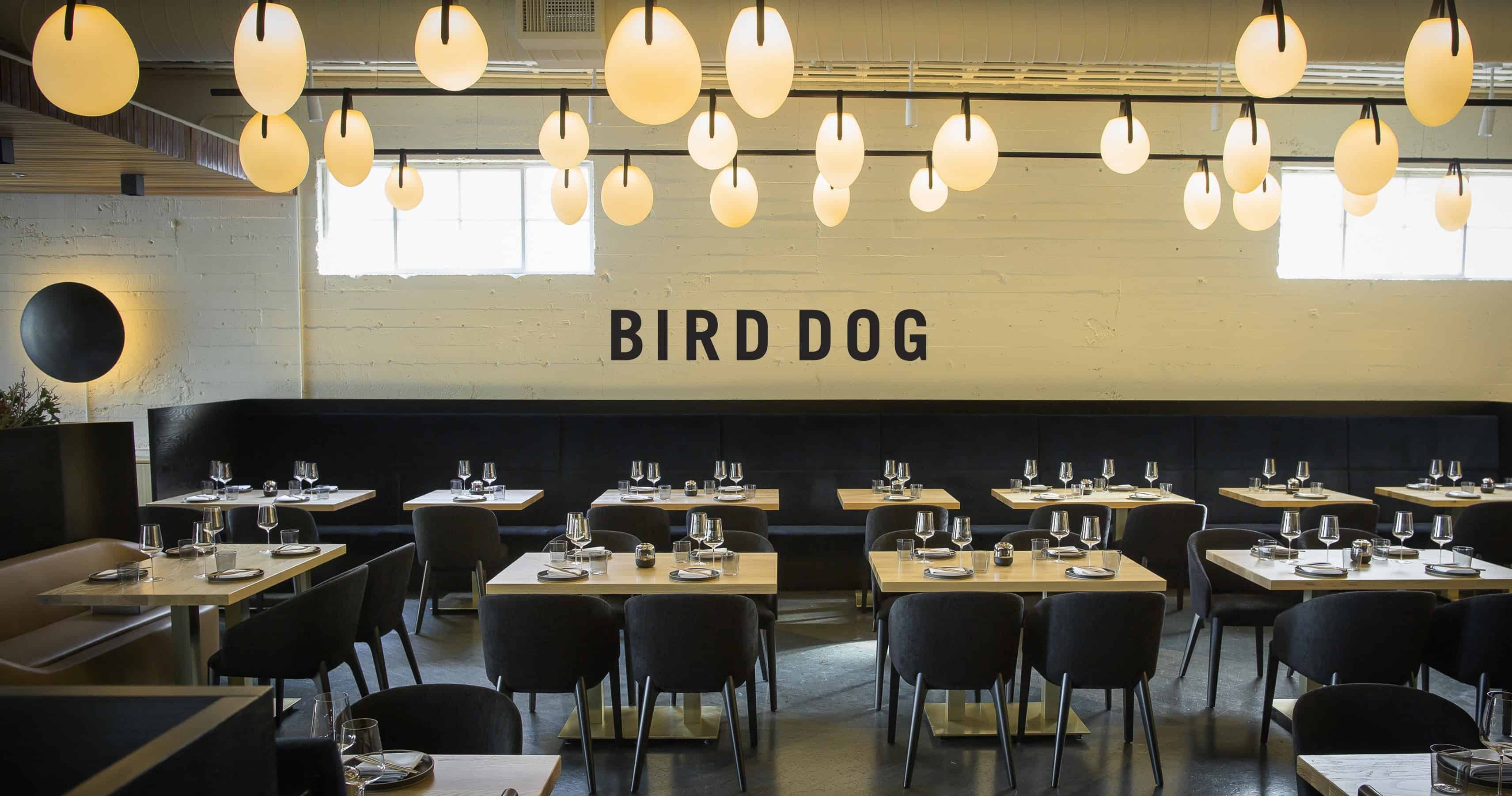 Bird-Dog-Logo-Graphic-Design-Branding-PSD-NYC | PSD-NYC